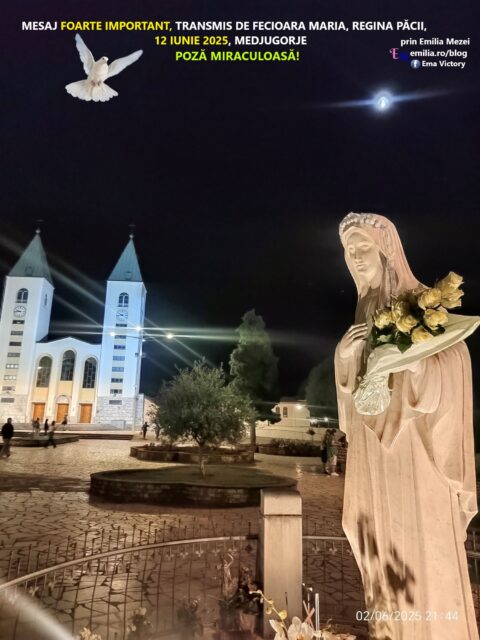 Conversație cu Fecioara Maria, 11 iunie 2025 și Mesaj Foarte Important ...